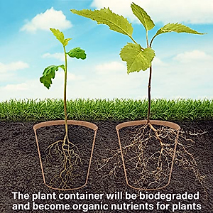 winemana 36 Set Plant Nursery Pots with Humidity Dome, Seed Starter Biodegradable Peat Pots, Seedlings Planting Pots with Labels for Indoor Outdoor Garden