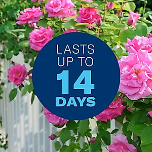 BioAdvanced 3-in-1 Insect, Disease & Plant Mite Control, Ready-to-Spray, 32 FOZ