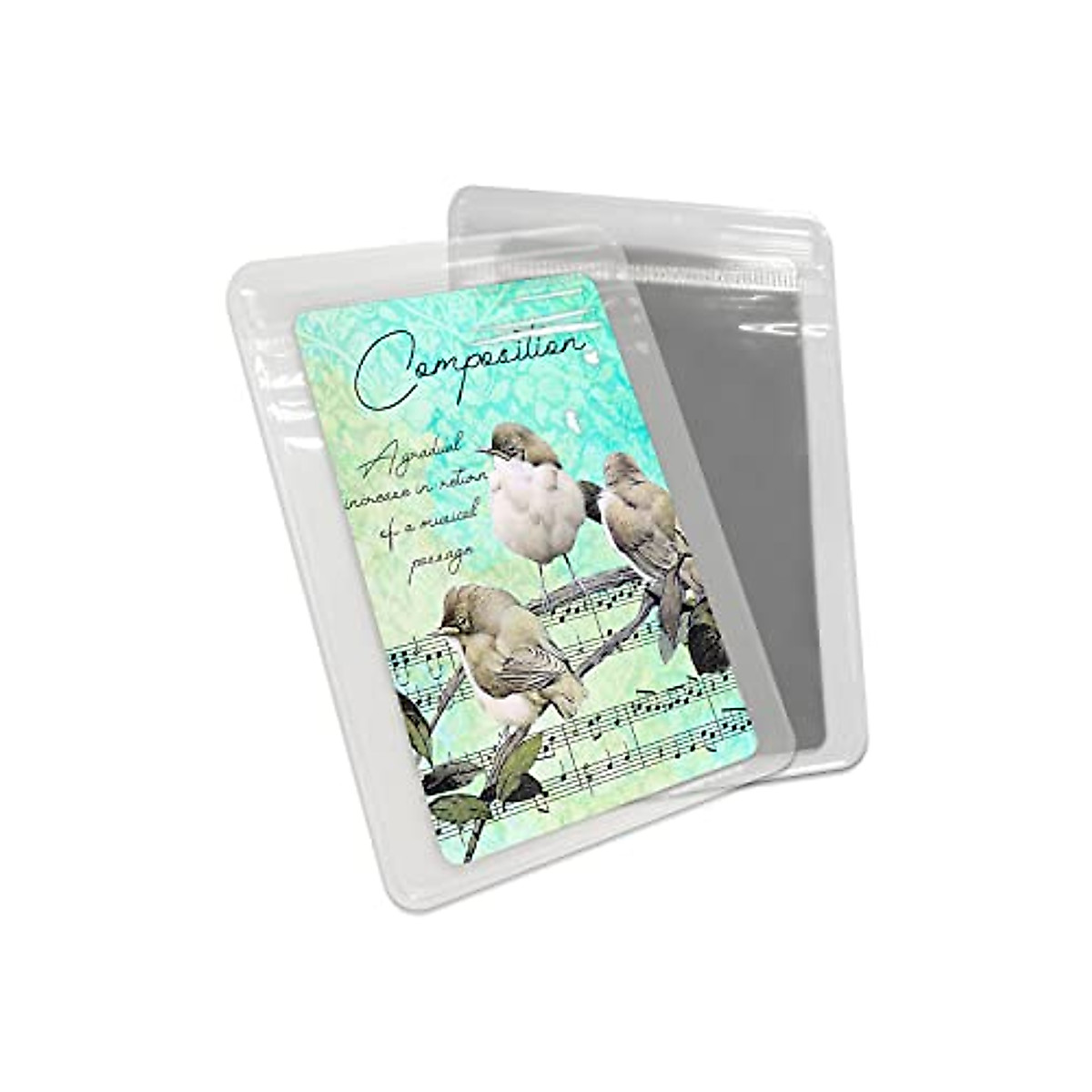 Carosoffe Birds on Branch Small Compact Mirror for Purse, Music Score Retro Illustration Aqua Ombre Travel Makeup Mirror for Women Men, Rectangular Handheld Compact Pocket Mirror 2 PCS