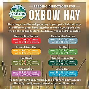 Oxbow Animal Health Alfalfa Hay - All Natural Hay for Young, Pregnant, or Nursing Small Pets - 9 lb.