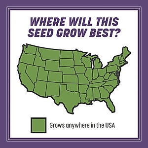 Pennington Smart Seed Dense Shade Grass Mix 3 lb