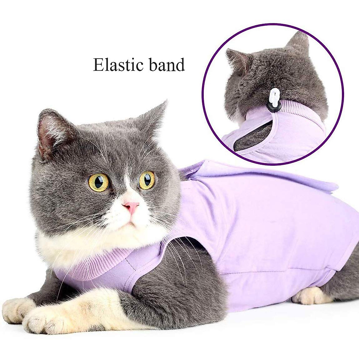Cat Professional Recovery Suit for Abdominal Wounds and Skin Diseases, E-Collar Alternative for Cats and Dogs, After Surgey Wear Anti Licking, Recommended by Vets（Purple,M