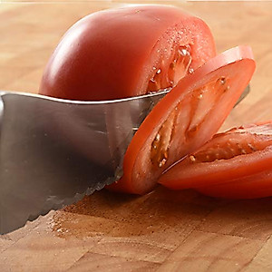 Norpro UNI Knife All Purpose Kitchen 8-inch Serrated Stainless Steel Blade for Tomatoes, Bread, Meat, Red