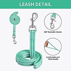 AMTOR Dog Harness with Leash Set,No Pull Adjustable Reflective Step-in Puppy Harness with Padded Vest for Extra-Small/Small Medium Large Dogs and Cats(Green,S)