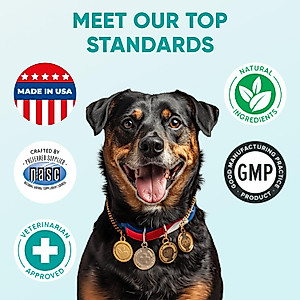 Hemp Calming Chews for Dogs - Anxiety Relief Melatonin for Dogs - USA Product - Dog Calming Chews for Stress, Separation Anxiety, Fireworks, Thunder, Travel, Vet Visits - 120 Soft Dog Calming Treats