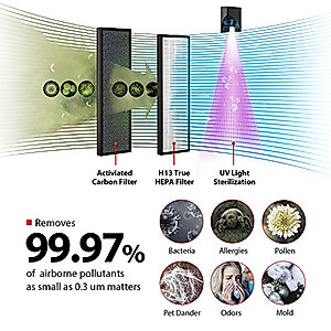 Toshiba Air Purifier CAF-W36USW UV Light Sanitizer, Designed for Smoke, Dust, Odors, Pollen and Pet Hair for Home, Office, Bedroom, Black