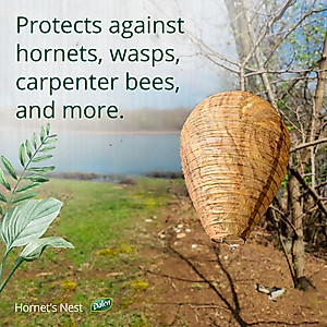 Dalen Hornet's Nest - Decoy Hive Helps Keep Wasps, Hornets, Yellow Jackets and Others Away - 11in, 3 Pack