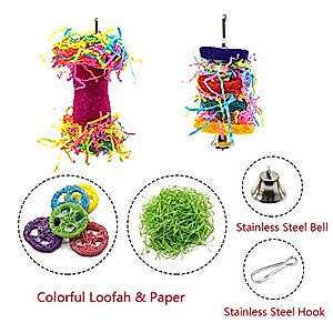 CooShou 5Pcs Small Parrot Chewing Toys Bird Shredder Toys Bird Parrot Foraging Hanging Toys for Small Birds Parakeets Parrotlets Lovebirds Cockatiels