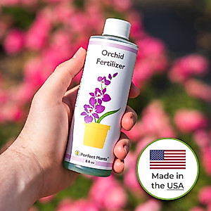 Perfect Plants Liquid Orchid Fertilizer 8oz. | Plant Food for All Epiphytic Varieties | Encourages Repeating Colorful Booms