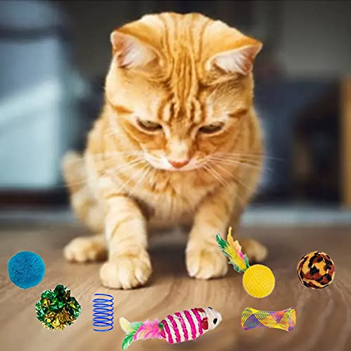 Cat Toys Set 36 PCS, Cat Toys Kitten Toys Interactive Cat Toys for Indoor Cats Collapsible Cat Tunnels Cat Feather Teaser Wand Feather Toy Springs Mouse Crinkle Balls Bell Play for Cat Kitty Kitten