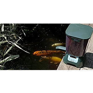 Fish Mate P7000 Large Capacity, Rain-Resistant Pond Fish Feeder