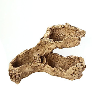 Hemoton Succulent Cactus Pot Sculpture Holder Plant Pot Sculpture Table Centerpieces Driftwood Plant Pot Driftwood Sculpture Astetic Room Decor Succulents Pots Succulent Bowl Outdoor