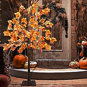 TURNMEON 4 Feet Prelit Maple Tree Fall Decorations Fall Tree Decor with Timer Pumpkin Lights 60 LED Warm Lights Acorn Brown Battery Box Thick Fall Tree Autumn Thanksgiving Indoor Outdoor Party