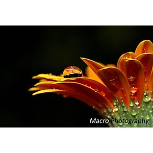 52MM 10X Close-UP Macro Lens for Nikon D5500 D5300 D3300 with AF-S DX Nikkor 18-55mm f/3.5-5.6 Lens or Canon M50 M50 Mark II with EF-M 55-200mm f/4.5-6.3 STM Lens