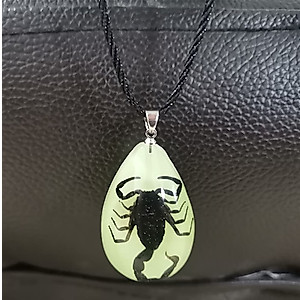 PTGMH Glow in the Dark Necklace Black Scorpion Amber Resin Adjustable Necklace Pendent with Insect Sample Inside Birthday Gift for Lover Friends (Black（black Scorpion）)