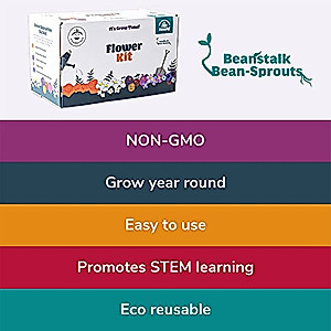 Flower Growing Kit by Beanstalk - 5 Types of Non-GMO Flower Seeds, Bachelor Button, Zinnia, Marigold, Virginia Stock, Baby's Breath - Best Birthday Garden Plant Gifts for Girls, Kids Age 5 6 7 8 9 10