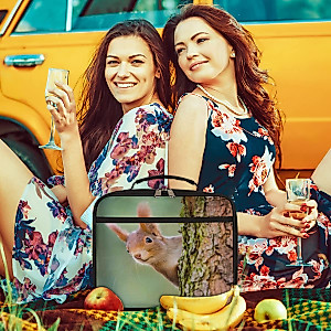 Kids Lunch Box for Boys Girls Cute Animal Squirrel Forest Insulated Lunch Bag Reusable Small Cooler Bag Meal Containers Tote Kit for School Travel Women Men