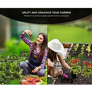 Garden Cloche Plant Protectors from Animals Chicken Wire Cloche Dome for Plants to Protect from Deer Rabbits in Outdoor Vegetable Garden with Thick Rustproof Large Cloches 12" Cage 20" High Set of 6