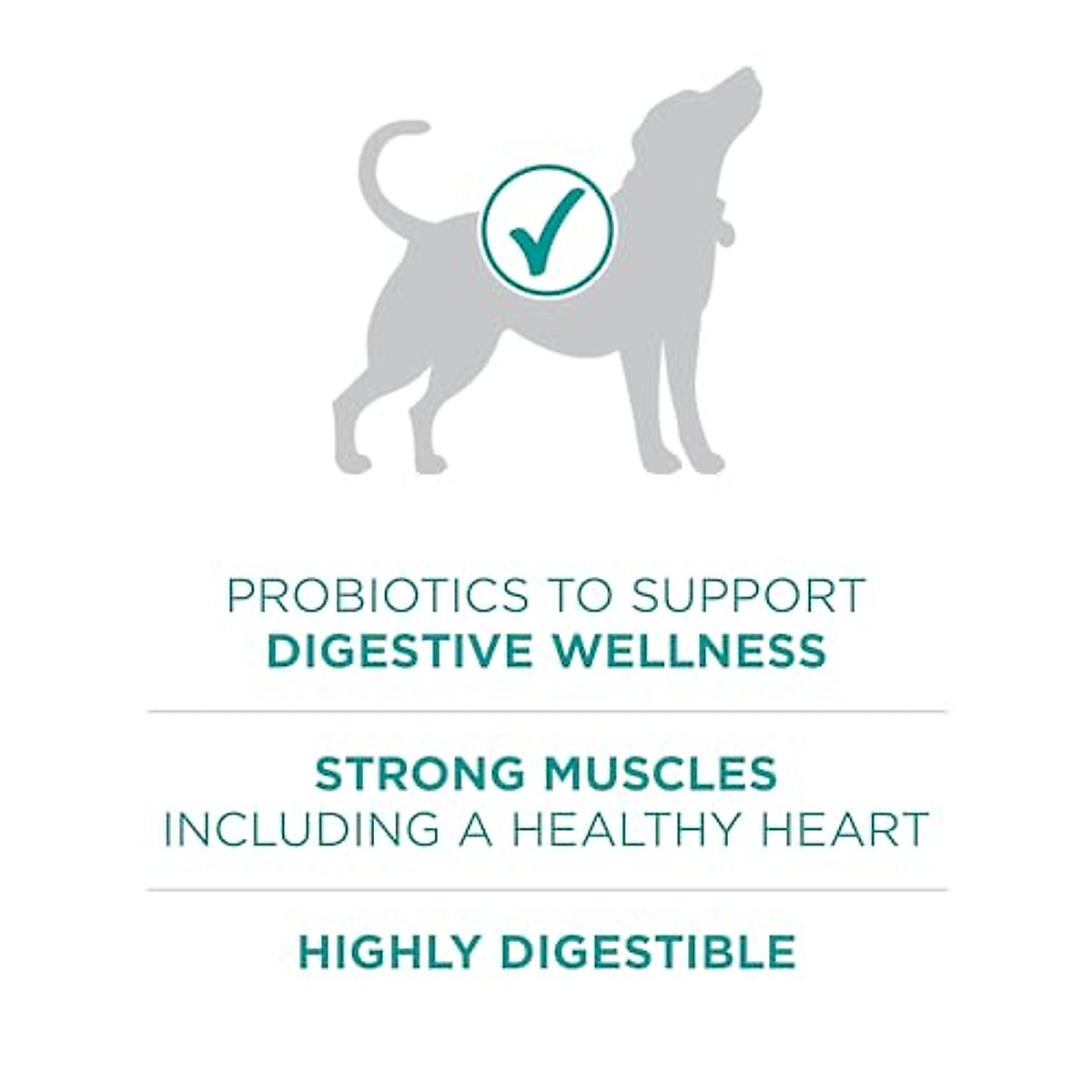 Purina One Plus Digestive Health Formula Dry Dog Food Natural with Added Vitamins, Minerals and Nutrients - (Pack of 4) 8 lb. Bags