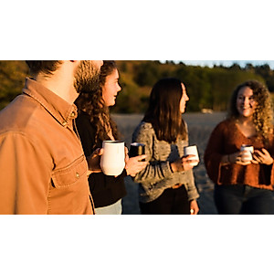 MiiR 10oz Insulated Stemless Wine Tumbler - Spill Proof Press-on Lid, Perfect for Drinks by the Pool, when Camping, at BBQs, and More at Home, on The Go, and Outdoors