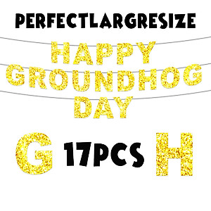 Happy Groundhog Day Banner Cute Animals Glitter Golden Theme Decor Decorations for Season Forecast 1st Birthday Party Spring February 2nd Holidays Festival Groundhog Day Supplies Favors Background