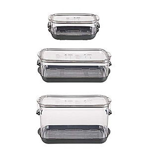 Prepworks by Progressive Berry ProKeeper, , 1.2-Quart, Strawberries, Blueberry, Fruit Vegetable Container,Black