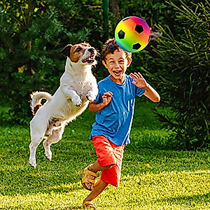 Rainbow Sports Balls - 6 Inch (Pack of 4) Inflatable Vinyl Balls for Kids and Toddlers with Added Hand Air Pump, Neon Basketball, Soccer Ball, and Volleyball for Playground, Indoor and Outdoor Use