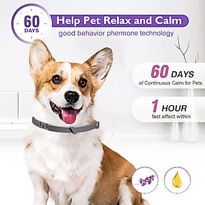 Dogs Calming Pheromones Collar 3 Packs Lasts 60 Days Relieve Reduce Anxiety or Stress 25 Inches Adjustable Relaxing Comfortable Collar Breakaway Design for All Small Medium and Large Dog
