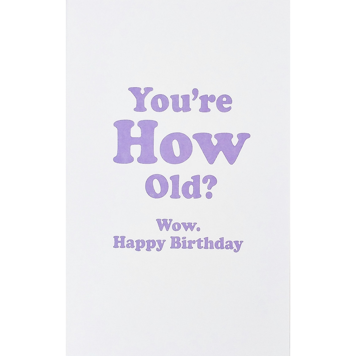 OMG You're How Old? WOW Happy Birthday Greeting Card w/Basset Hound Dog - Getting Older Aging Cute Funny