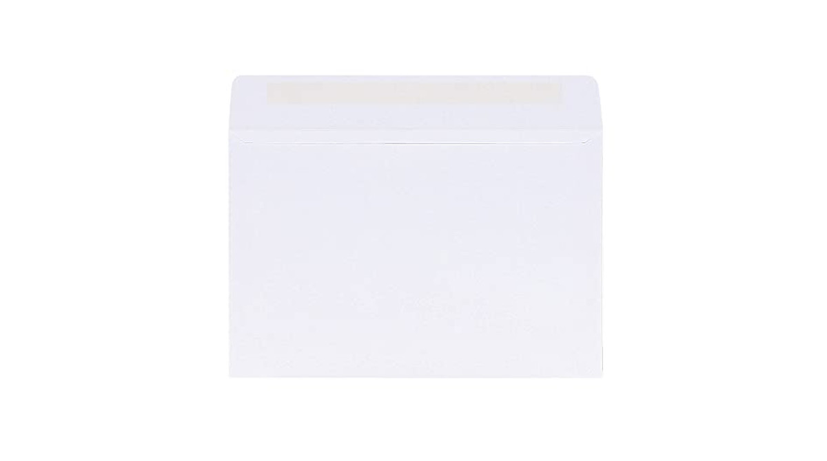 Office Depot 6x9 White Booklet Envelopes - Box of 100