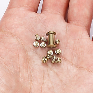 13-Piece Titanium Screw for Benchmade 535 Bugout, Mini Bugout 533 and Bailout 537, Complete Hardware Set Includes Pivot, Handle and Pocket Clip Screws, Gold