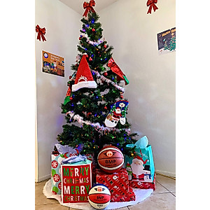 BMP WINNING IS A HABIT Basketball Size 7 - Suitable for Male and Female Basketball Players Aged 13 Years and up - Official Weight Specifications with a Circumference of 29.5 (75cm)