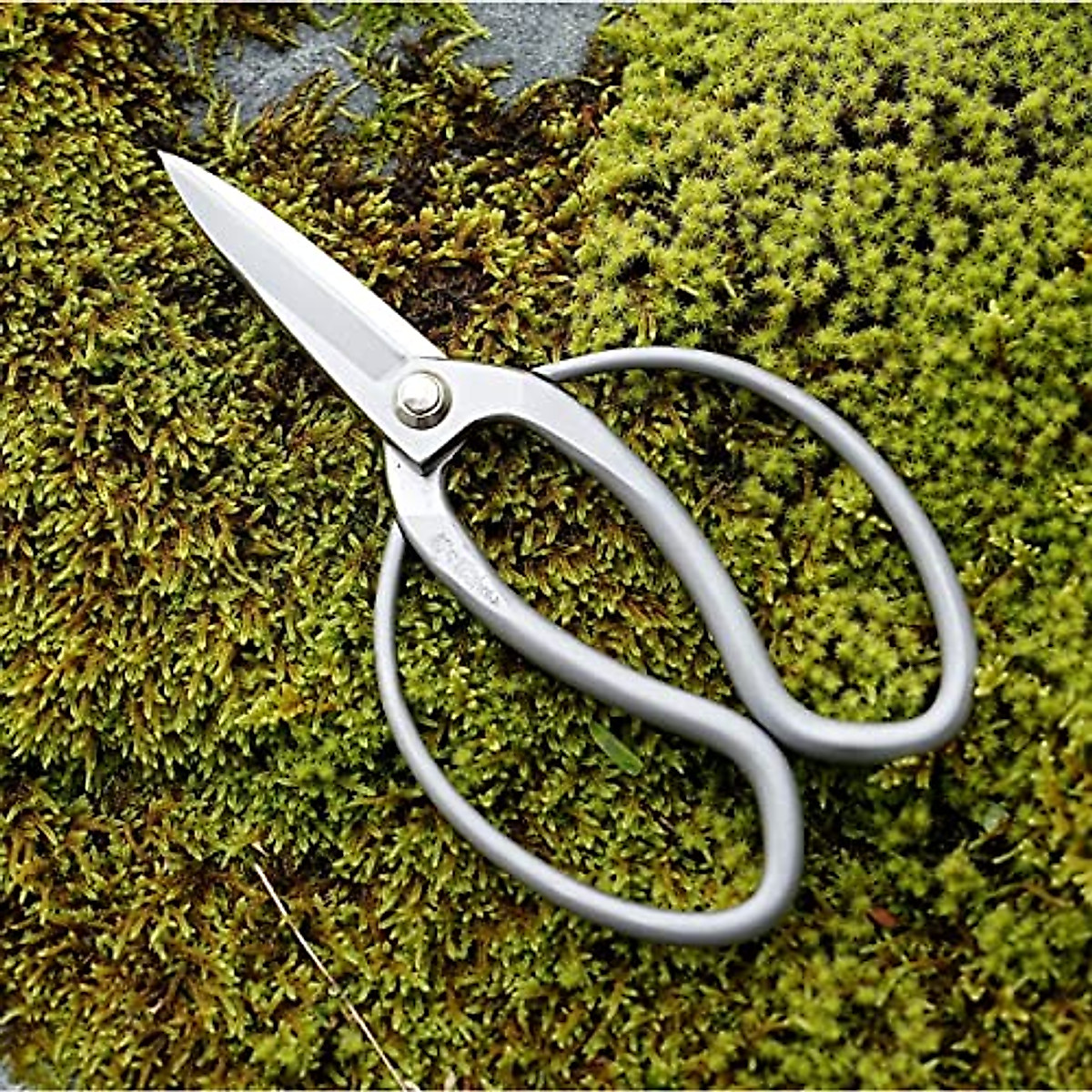 KAKURI Okubo Shears 7.8" (200 mm) Bonsai Scissors Long Blade, Flower Arranging Scissors, Japanese Stainless Steel, Silver, Made in JAPAN