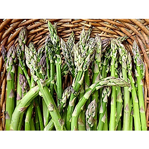 Seeds Asparagus White Giant Vegetable Garden Heirloom for Planting Non GMO