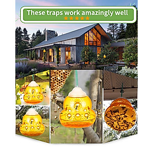 Wasp Trap Outdoor Hanging, Bee Traps Catcher, Effective Outdoor Wasp Killer Insect Catcher, New Upgrade Non-Toxic Reusable Hornet Yellow Jacket Trap (Orange, 2 Pack)
