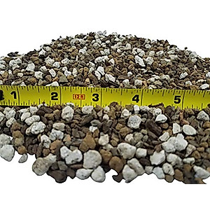 Succulent & Cactus Soil Mix - Premium Pre-Mixed Fast Draining Blend (2.5 Dry Quarts)
