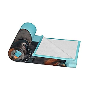 DOINBEE Dachshund Dog Blanket Dachshund Gifts Cute Black Dog Animal on Blue Throw Blankets for Men Women Fluffy Fleece Flannel Soft Cozy Sofa Chair Bed Couch Blanket Decor Travel Quilts 60"x50"