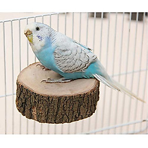 LOVEIFE 3 Pack Bird Perch, Round Wooden Platform Parrot Toys Bird Cage Accessories (Style1)