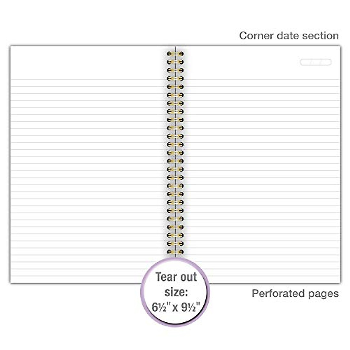 Cambridge Meeting Spiral Notebook, Legal Ruled, Soft Cover Business Journal, 9-1/2" x 7-1/4", Wirebound Memo Notepads, Cute Stationery Supplies for Home Office, 80 Sheets, Purple (49556)