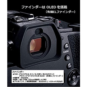 Panasonic Lumix 1.0-inch Sensor Mounted Optical 16x Zoom 4K Video corresponding DC-FZ1000M2?Japan Import