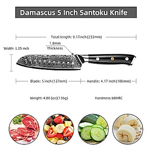 Sunnecko Damascus Chef Knife Japanese Santoku Knife 5 Inch Chopping Knife Vegetables, High Carbon Stainless Steel Knife with Gift Box