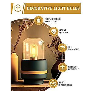 4 Pack LED Edison Bulbs, 4W Edison Light Bulbs, Antique LED Filament Bulbs 40W Equivalent, E26 Base, T45 LED Bulb with Clear Glass, Warm White 2700K, Non Dimmable, Great for Home, Bedroom, Office