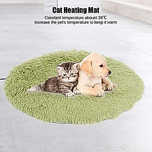 plplaaoo Electric Blanket, Electric Blanket, Hand Warmer, Plush Four Seasons USB Charging Interface Pet Heated Blanket Heating Mat Mat for Small Dogs Cats(gr¨¹n)