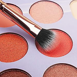 Real Perfection Makeup Brushes 16pcs Makeup Brushes Set with 1 Eyebrow Razor Premium Synthetic Foundation Brushes Blending Face Powder Eye Shadow Concealer Make Up Brushes Tool Kit