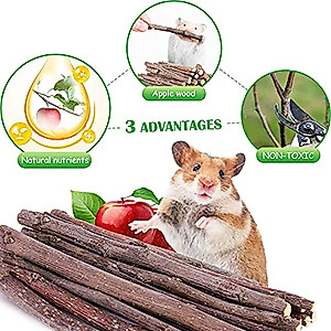 antiai Guinea Pig Toys Apple Sticks Timothy Hay Sticks 2 Combination, Rabbit Toy Bunny Treats Natural Hamster Chinchilla Rat Gerbil Chew Toys for Teeth Care