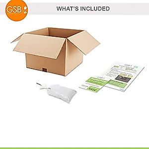 Bushel and Berry Raspberry Shortcake® Raspberry Bare Root for Planting, Non-GMO (Bag of 1)