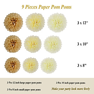 Envibe Boho Party Decor, Paper Pom Poms for Bridal Shower, Wedding, Baby Shower, Engagement Party, Boho Birthday Decorations, 32 Pcs Paper Flowers Decorations for Party.