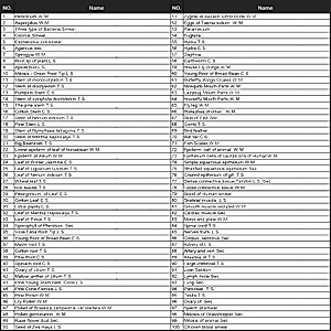 100 Pcs Microscope Slides with Specimens for Kids,Prepared Microscope Slides for Kids,Prepared Slides for Microscope,Microscope with Slides for Student Adults, Including Insect, Animal, Human Tissue