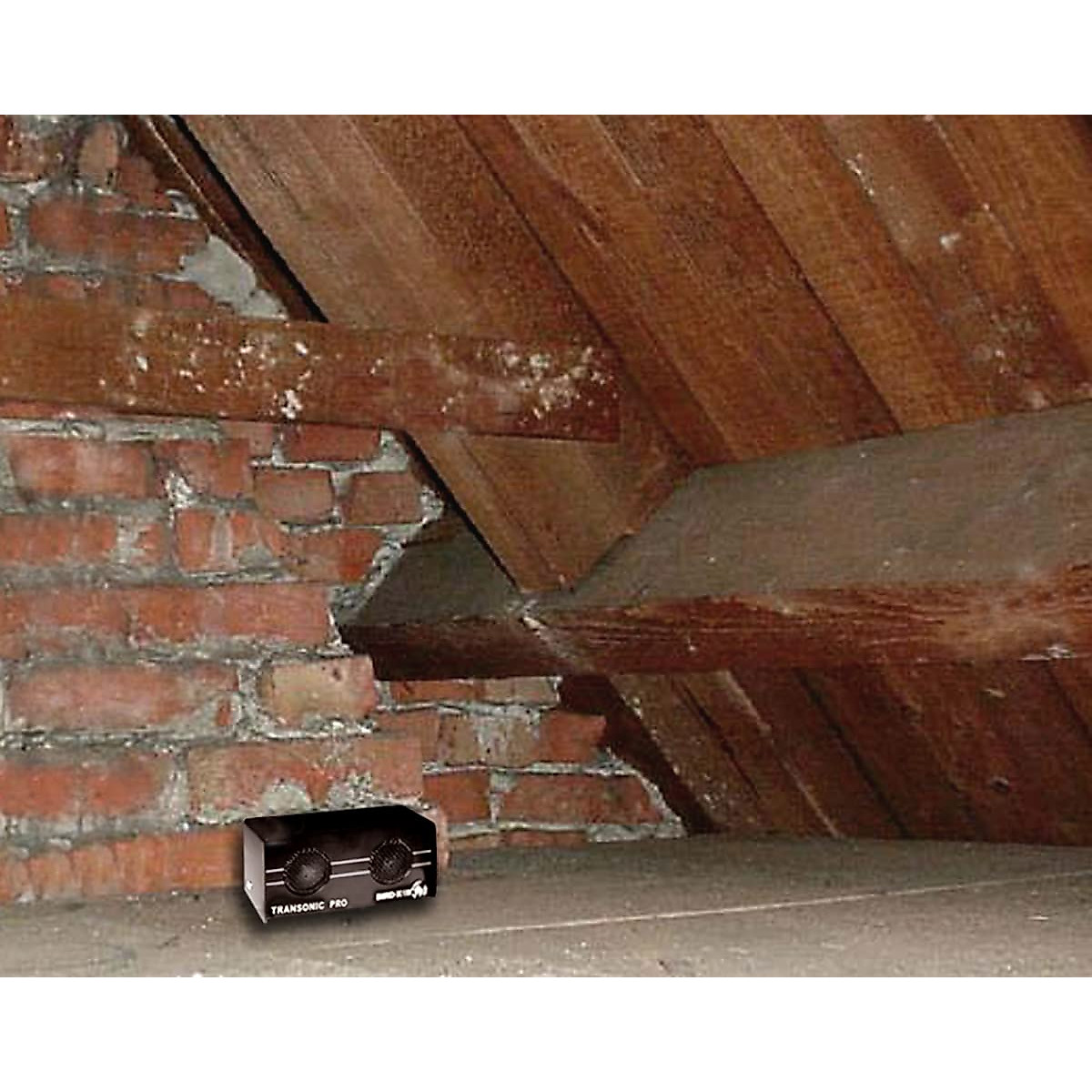 Bird-X Transonic Pro Electronic Pest Repeller