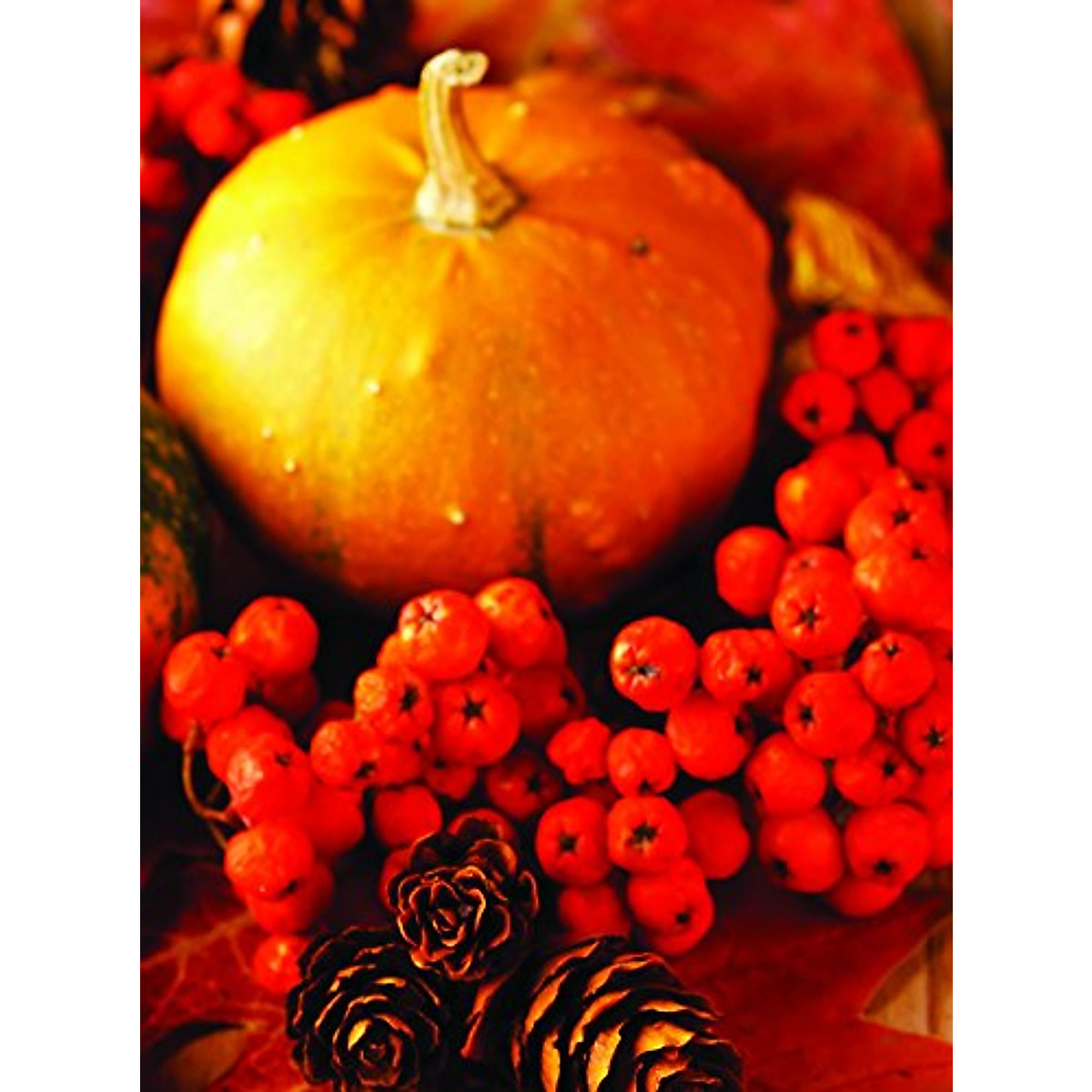 Note Card Cafe Christmas Card Assortment with White Envelopes | 36 Pack | Turning of the Seasons | Blank Inside, Glossy Finish | Set for Holidays, Winter, Gifts, Presents, Secret Santa, Work Parties